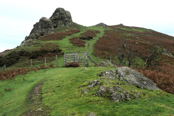 Mortimer Group - Ramblers